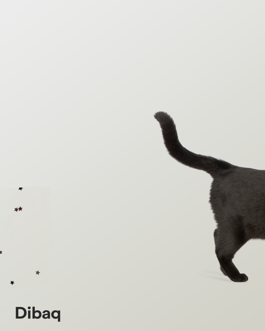Why Cats Purr: Meaning, Benefits, and Relationship to Their Diet ...
